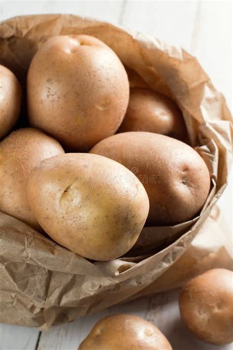 Aardappelplanten Stock Foto Image Of Naughty Vuil Seizoen 27063878