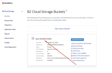 Setting Up Cors Rules For Backblaze B2 Latest By Matija Žiberna