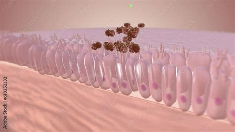 Gonorrhea Is A Sexually Transmitted Disease Std Caused By Infection