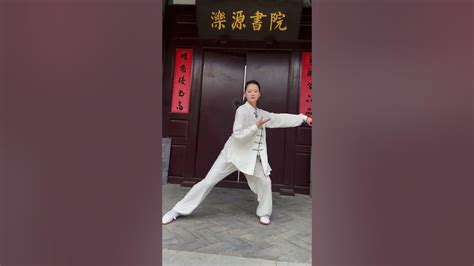Tai Chi 太极养生，以静制动，以柔克刚，修身养心 Taichi Taichiquan Kungfu 太极 太极拳 功夫