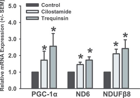 Pde3 Inhibitors Cilostamide Or Trequinsin Induce Mitochondrial Protein