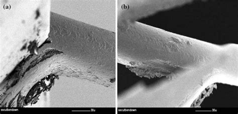 Sharp Razor Palace What Happens When A Blade Meet Hair Answer In Images