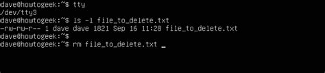 How To Copy And Paste Text In The Linux Bash Shell Systempeaker