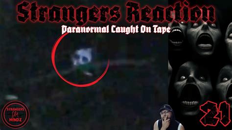 Strangers Reaction Paranormal Caught On Tape Paranormal Investigator