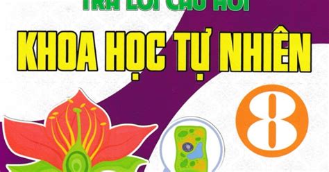 Hướng Dẫn Trả Lời Câu Hỏi Khoa Học Tự Nhiên Dùng Kèm SGK Kết Nối Tri Thức Với Cuộc Sống