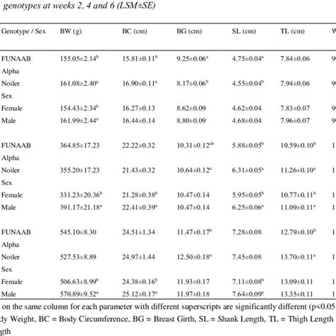 Linear Body Meaning At Jose Cheung Blog