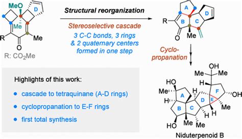 Total Synthesis Of The Hexacyclic Sesterterpenoid Niduterpenoid B Via