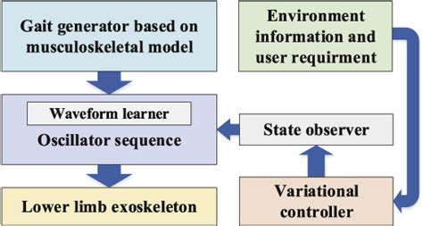 Figure 1 From Gait Generation Strategy For Lower Limb Exoskeleton Based On Central Pattern