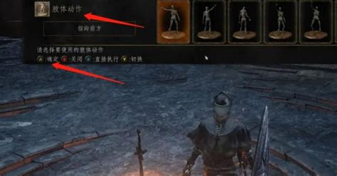 黑魂 手柄怎么按出姿势 黑魂 手柄按出姿势方法 梦幻手游网