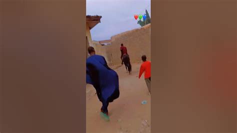 Wasan Doki By Abdul Gombe Youtube