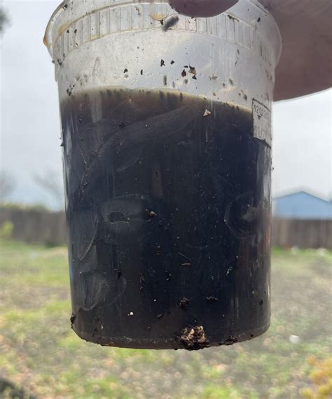 Tea Time Anyone Rvermiculture