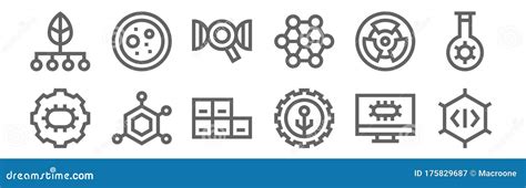Set Of 12 Bioengineering Icons Outline Thin Line Icons Such As Coding Engineering Structure