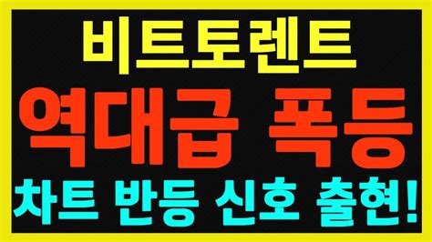 비트토렌트 모든 준비는 끝났다 Youtube