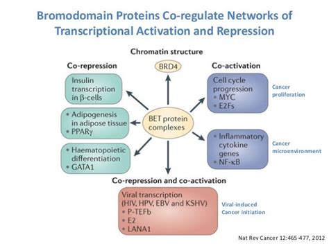 Esoc 2016 Bromodomain Inhibitors Bet What Are Bets