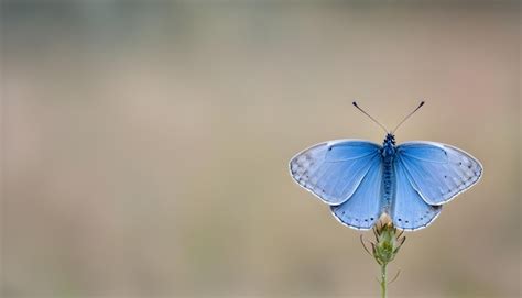 Page 25 Mothe Images Free Download On Freepik