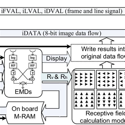 The Simple Reichardt Detector [7] Download Scientific Diagram
