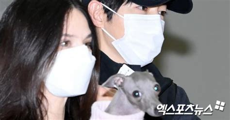 즐기고 올게요송중기 다정 스킨십 ♥케이티와 칸도 동행할까 엑s 이슈
