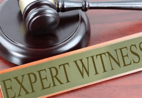 The Importance Of Expert Testimony In Forensic Litigation Support