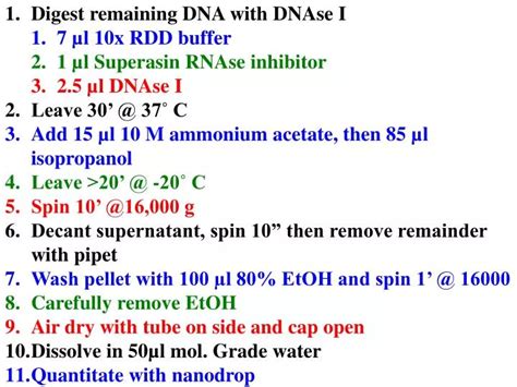 Ppt Digest Remaining Dna With Dnase I 7 µl 10x Rdd Buffer 1 µl