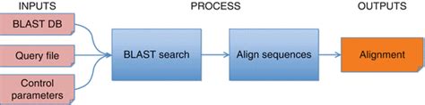 Proteomics Workflow Springerlink