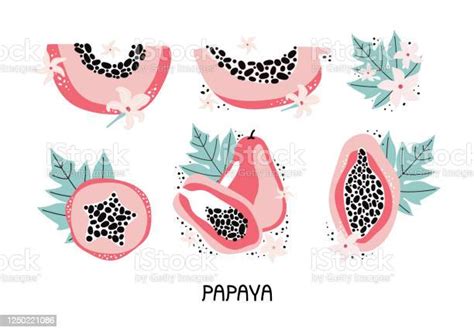 꽃에 나뭇잎과 꽃이 있는 핑크 파파야를 컬렉션 손으로 그린 살 씨앗과 열대 과일의 전체 와 슬라이스 과일을 설정합니다 낙서 정글 과일 포스터 스티커 메뉴를위한 현대적인