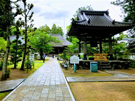 国分寺 国指定史跡で庭園喫茶スタート 仁淀川によどがわ日本一の清流