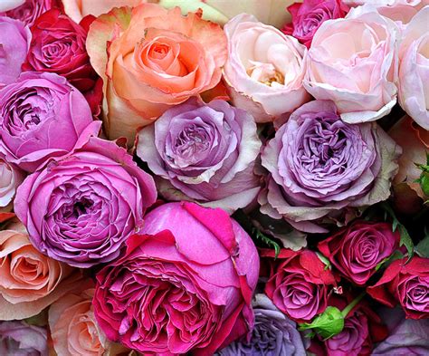 The Story Of Angulimala Thus Have I Seen And Heard