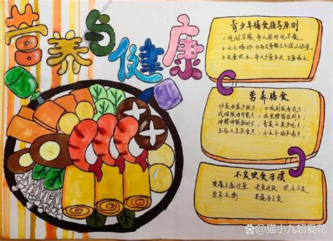 历史人体营养手抄报简单又好看精选11张 手抄报图片大全