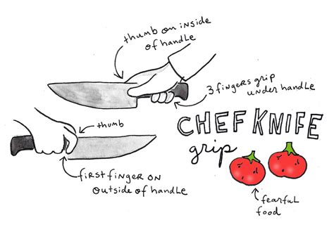 How To Hold A Knife An Illustrated Guide On Craftsy Hand Holding