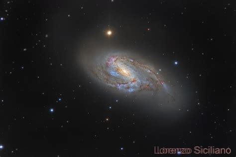 M 66 Astrobin