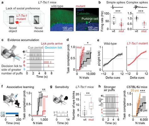 Figure 1 From Enhanced Learning And Sensory Salience In A Cerebellar