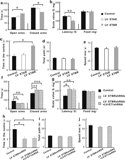 Up Regulating Etbr Gene Expression In The Bla With Etbr Lentiviral