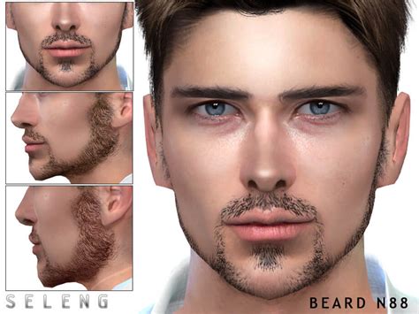Sims Beard N The Sims Book