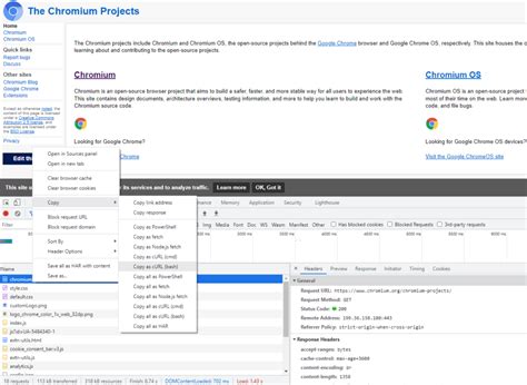 Curl Cli Emulate Web Browser With User Agent Proxy Cookies And Custom