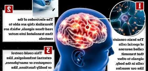 How Does Elon Musks Neuralink Brain Chip Actually Work Big World Tale