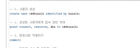 오라클 Sql Developer 데이터베이스 접속 오류 Ora 01017