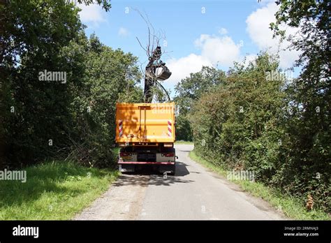 Grapple Truck Truck Crane Lifts With Gripper Sawn Off Branches Into The Truck Roadside Tree