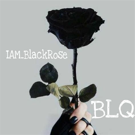 CallMeblq Single De Iam Blackrose Spotify