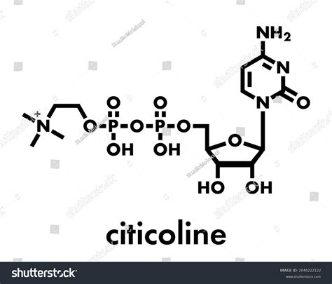 17 張 Cdp Choline 圖片、庫存照片和向量圖 Shutterstock