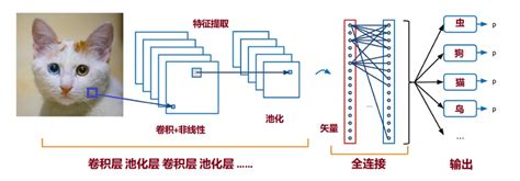 科学网—猫咪怎样启发了人工神经网络的诞生？ 张天蓉的博文