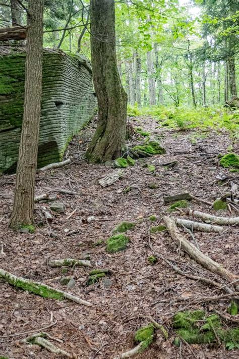 hike the huckleberry loop from huckleberry loop road