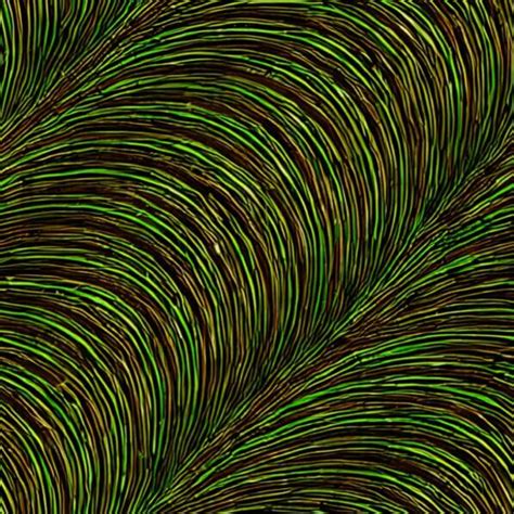 Download Green And Brown Peacock Feather Abstract Pattern Patterns
