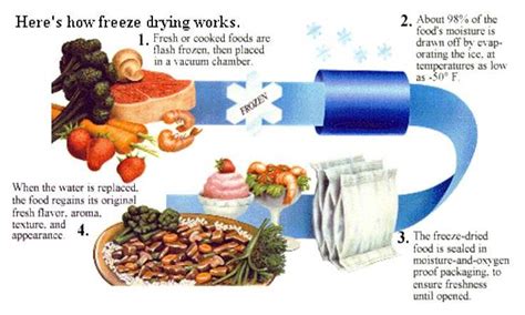 How Does Freeze Drying Work Safecastle
