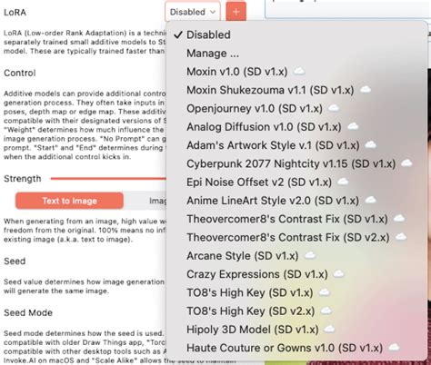 Unable To Use Custom Lora Rdrawthingsapp