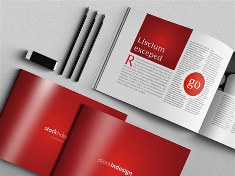 Case Study Template Lander StockInDesign