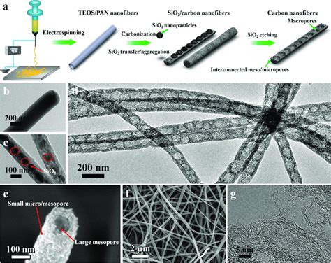 Fabrication And Characterization Of The Bamboo Like Carbon Nanofibers Download Scientific