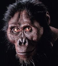 First Primate In Genus Homo 23 Million Years Ago