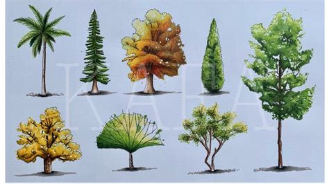 Architectural Trees Architectural Trees Alcohol Markers Architecture Sketch