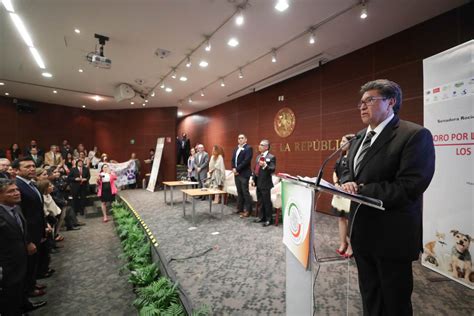 Prisión Para Quien Use Animales Con Fines Cosméticos Prensa Animal