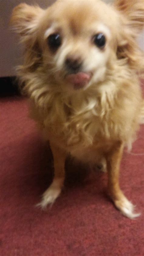 Lynn Carmichael Carmichael Lynn Twitter